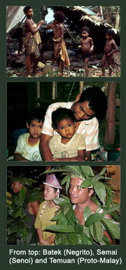 A Brief Introduction – Center for Orang Asli Concerns